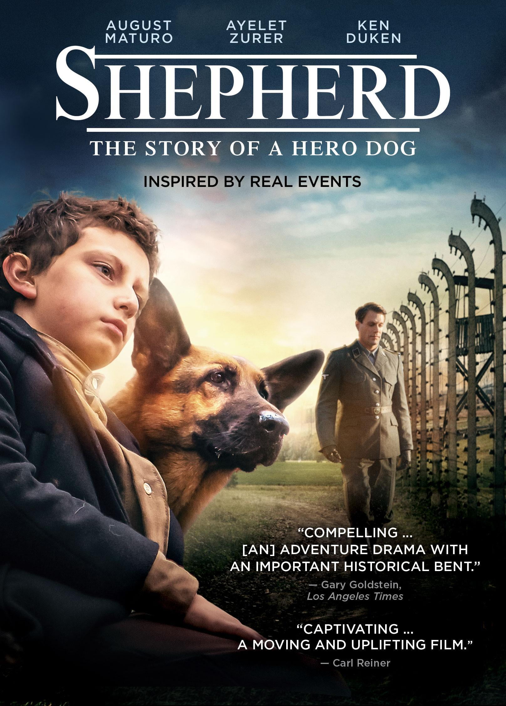 Shepherd: The Story of a Hero Dog (DVD) - Walmart.com