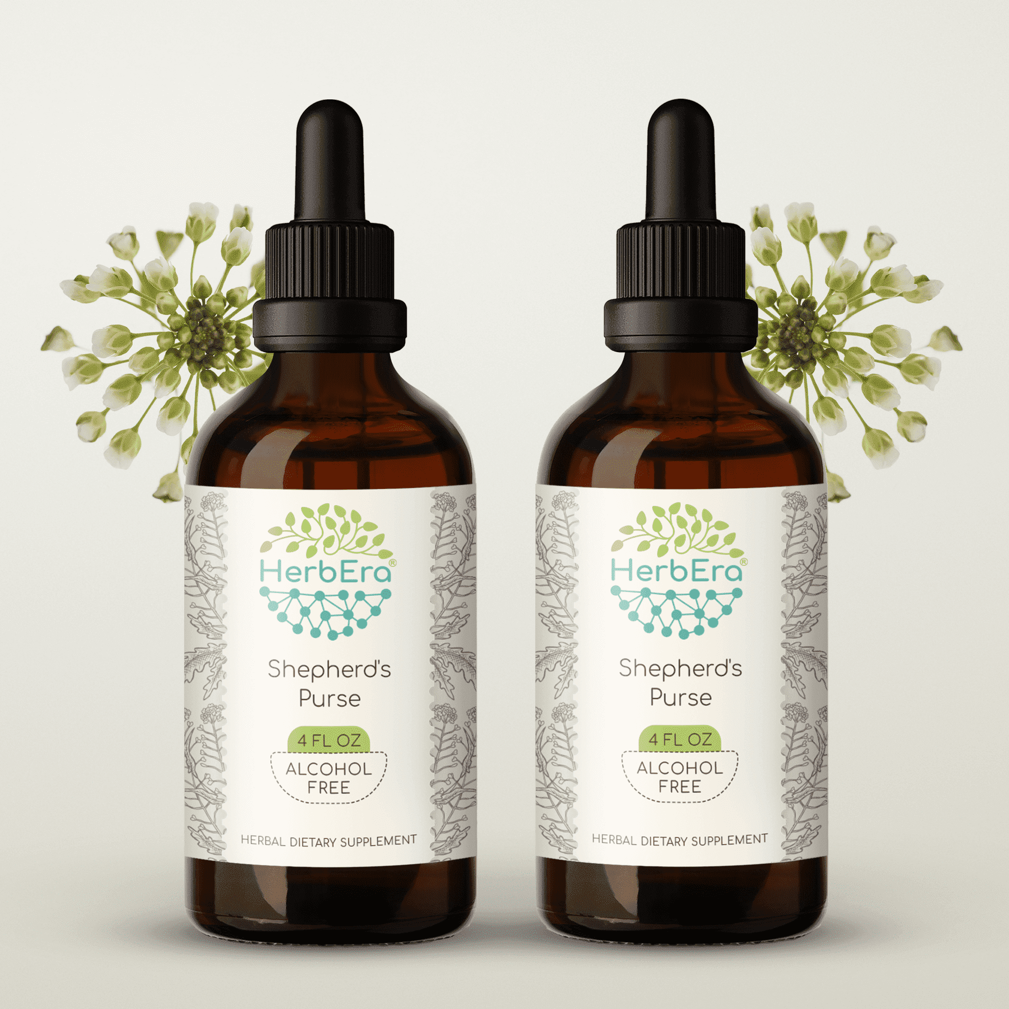 HerbEra Shepherd's Purse Tincture, Herbal Dietary Supplement for ...