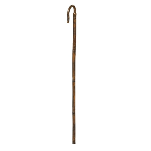 Shepherd's Staff for Kids - Shepherd Crook Costume Accessory - Walmart.com