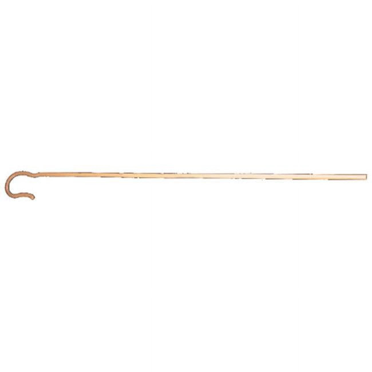 Shepherds Crook Giant 2 Pcs - Walmart.com