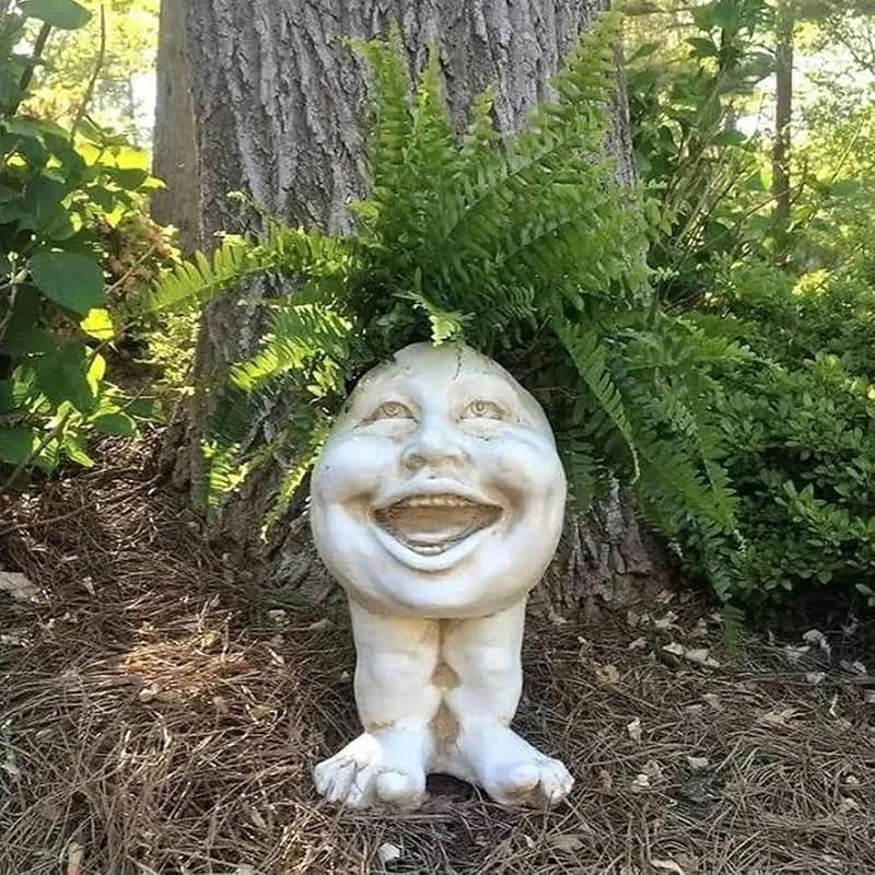 Sheremart Joy Planter,Fanyil Vianys Joy Planter,Face Statue Planters,6 ...