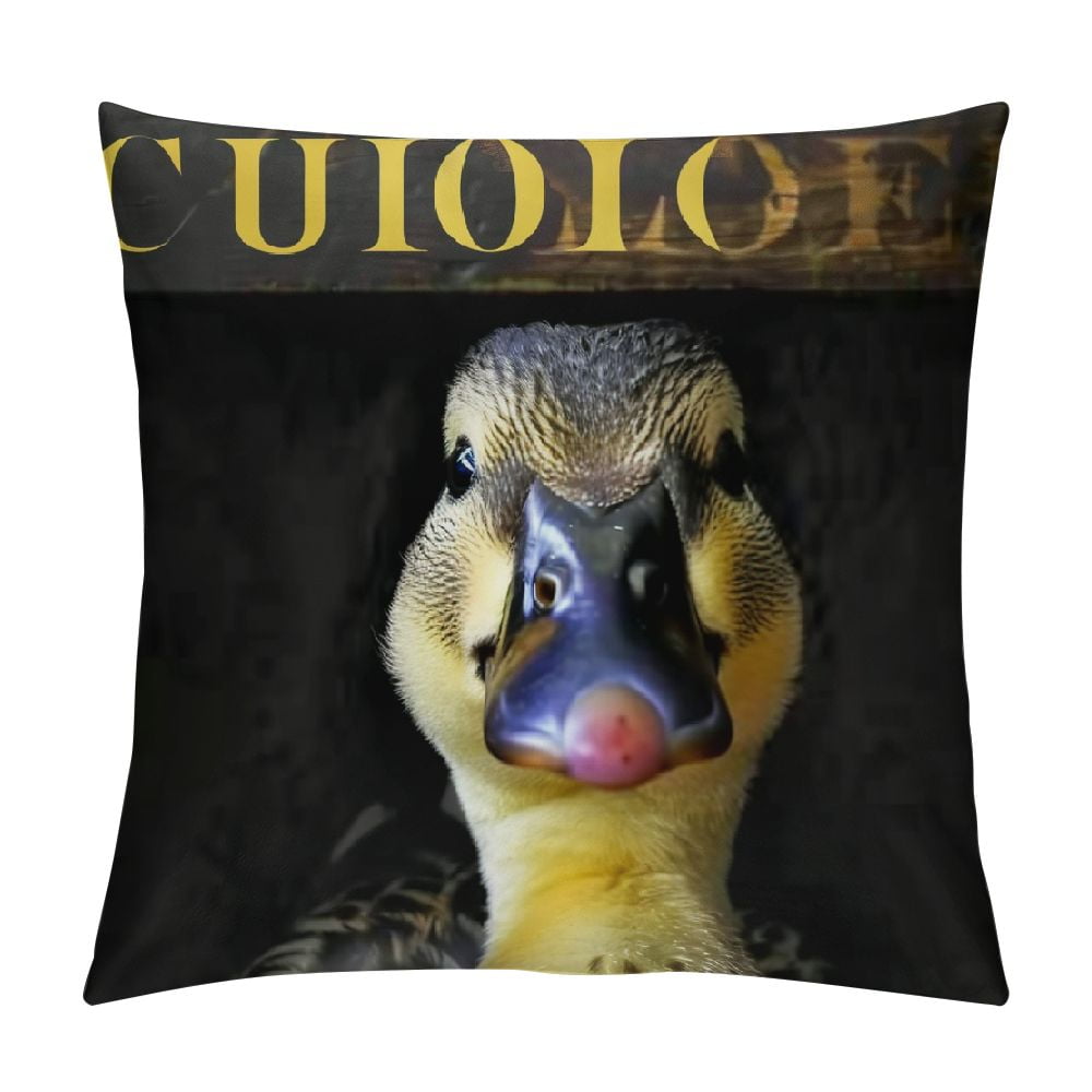 Sheronv Duck Welcome Sign Graphic Decorative Pillow Cover for Home ...