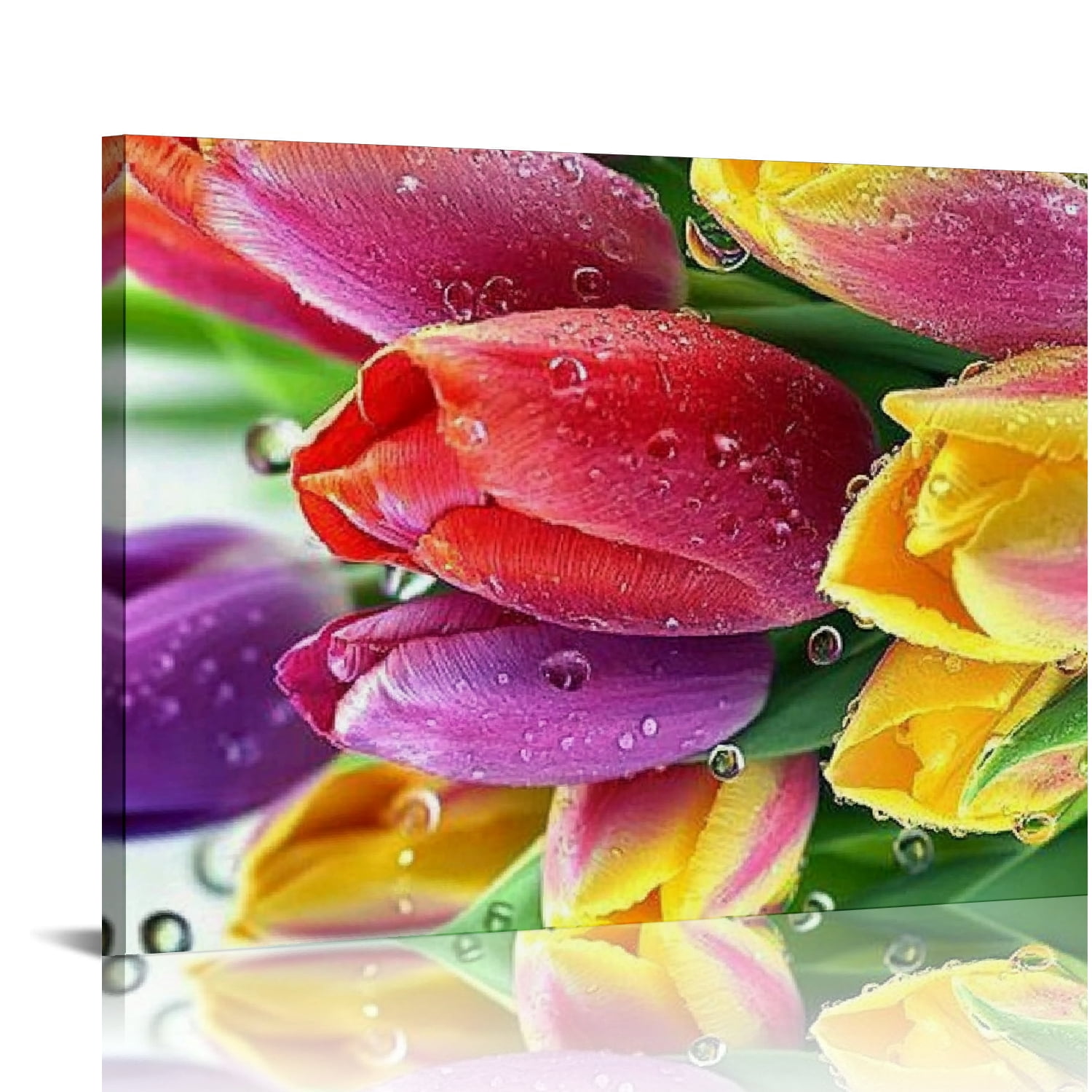 Sheronv Tulips Flowers Water Drops Canvas Art Print for Wall Decor ...