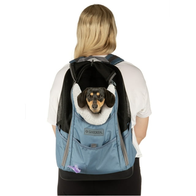 Sherpa Elevation Pet Backpack for Cats & Dogs - Blue, Medium - Walmart.com