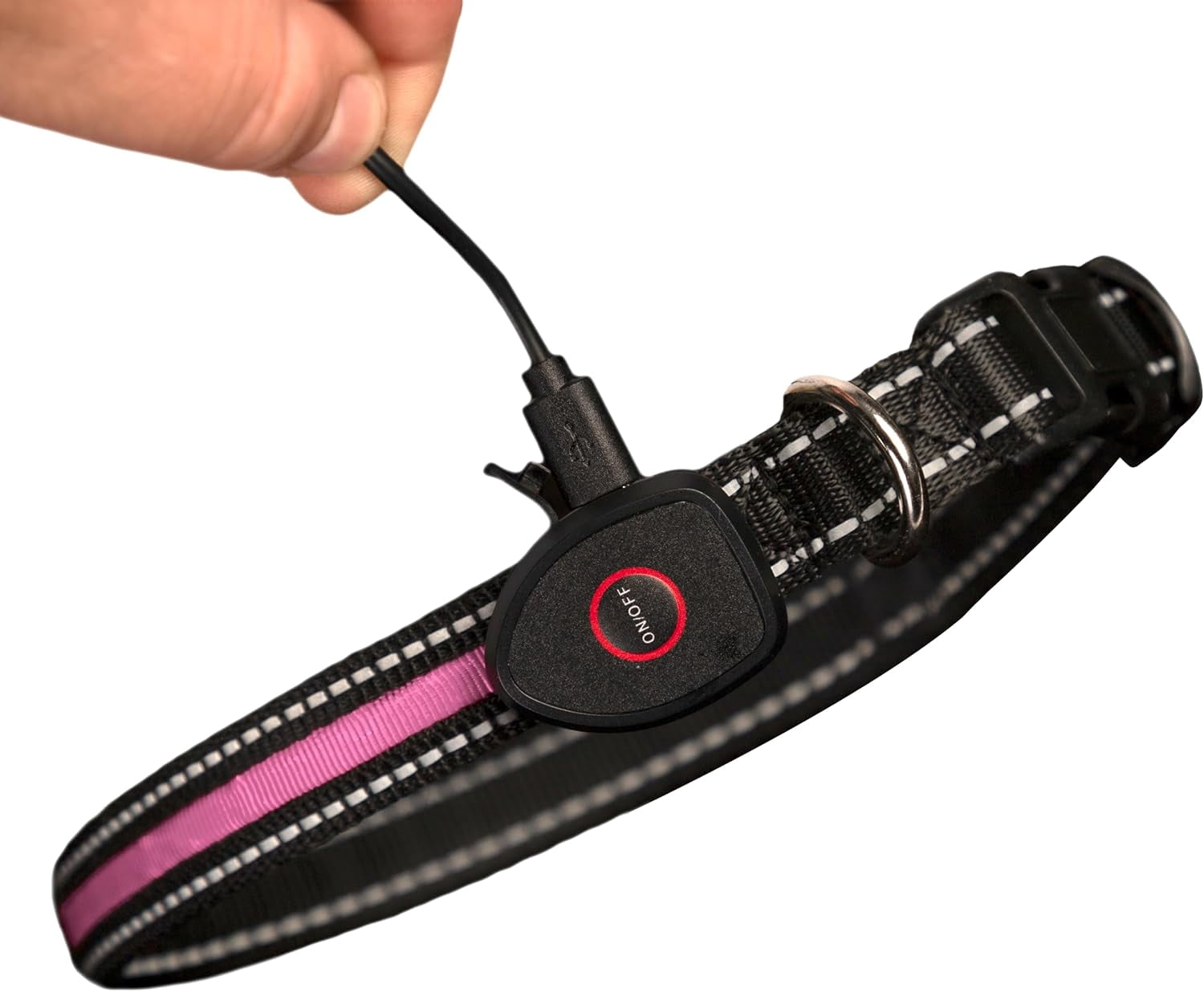 Sherry Kline LED Light-Up Pet Collar - USB Rechargeable - Flashing Glow ...