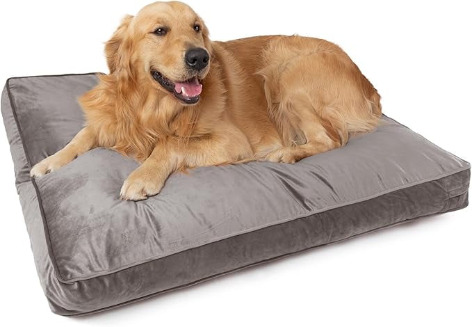 Sherry Kline Rectangle Double Sided And Reversible Soft Velvet Bed For ...