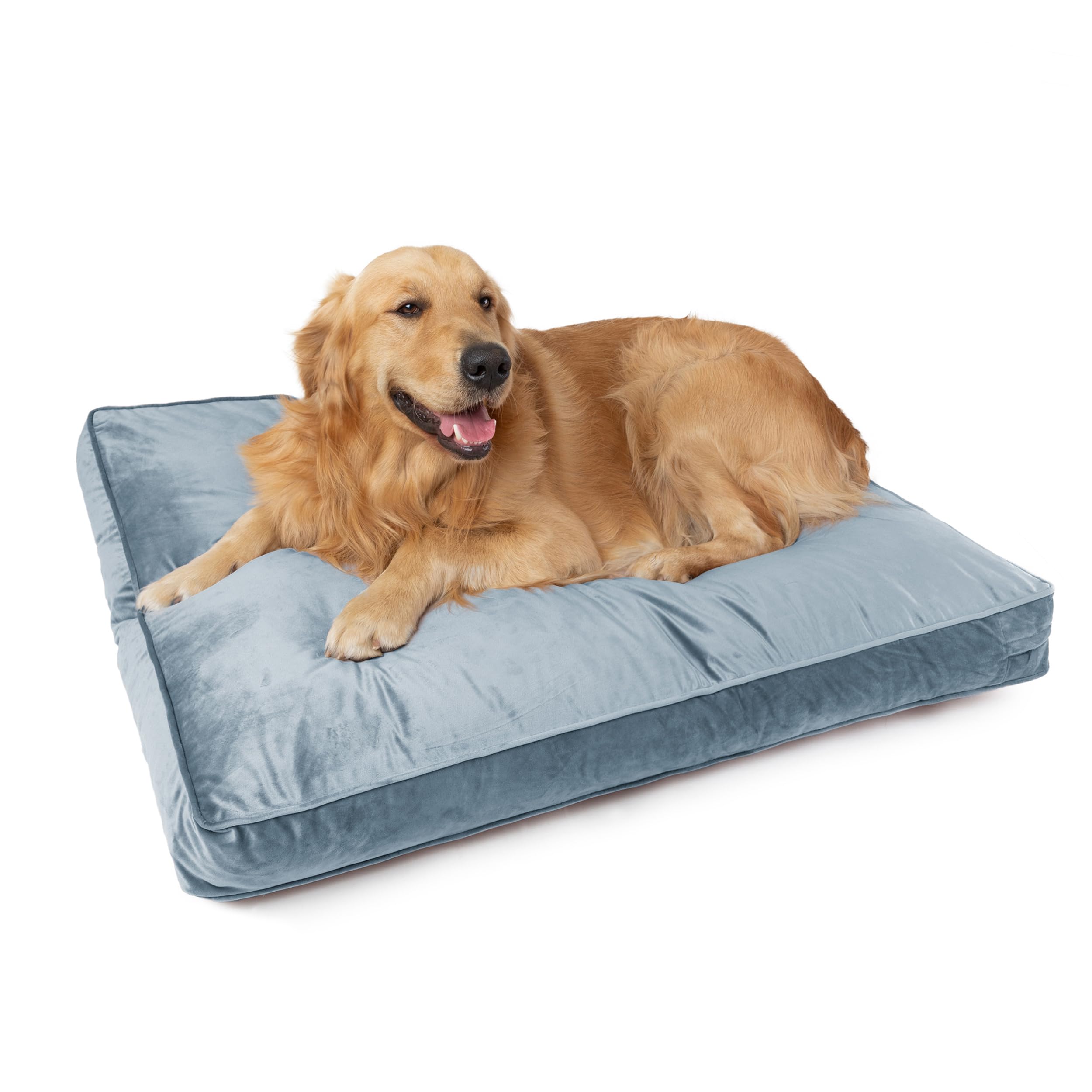 Sherry Kline Rectangle Double Sided & Reversible Soft Velvet Bed for ...