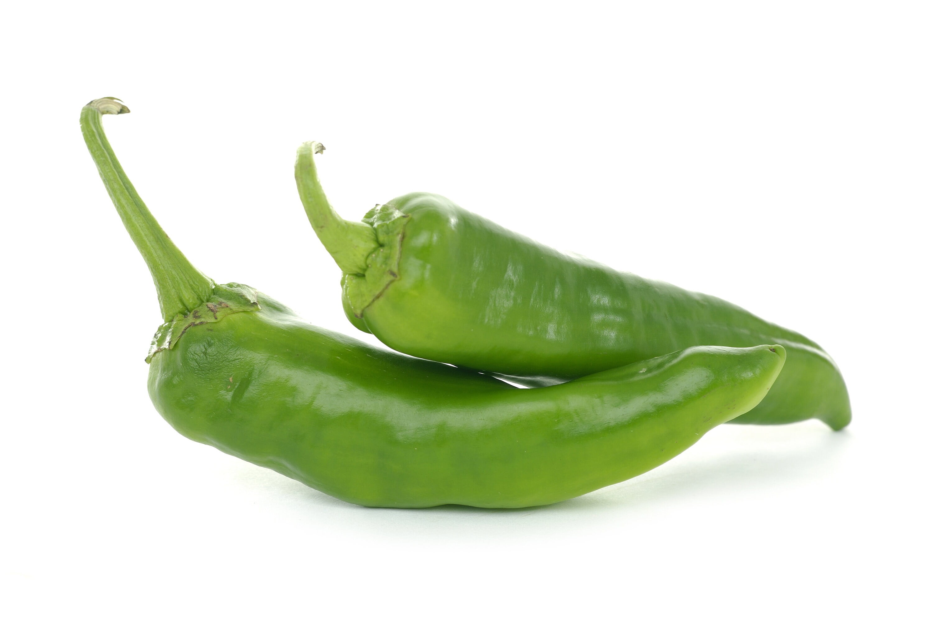 Sherwood's Seeds Premium 10 Hatch Junie Chile Pepper Plant Seeds ...
