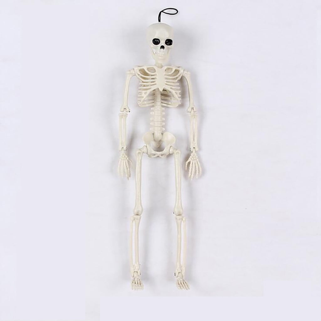 Shetay Skeleton Halloween Decoration, Full Body Posable Skeleton ...