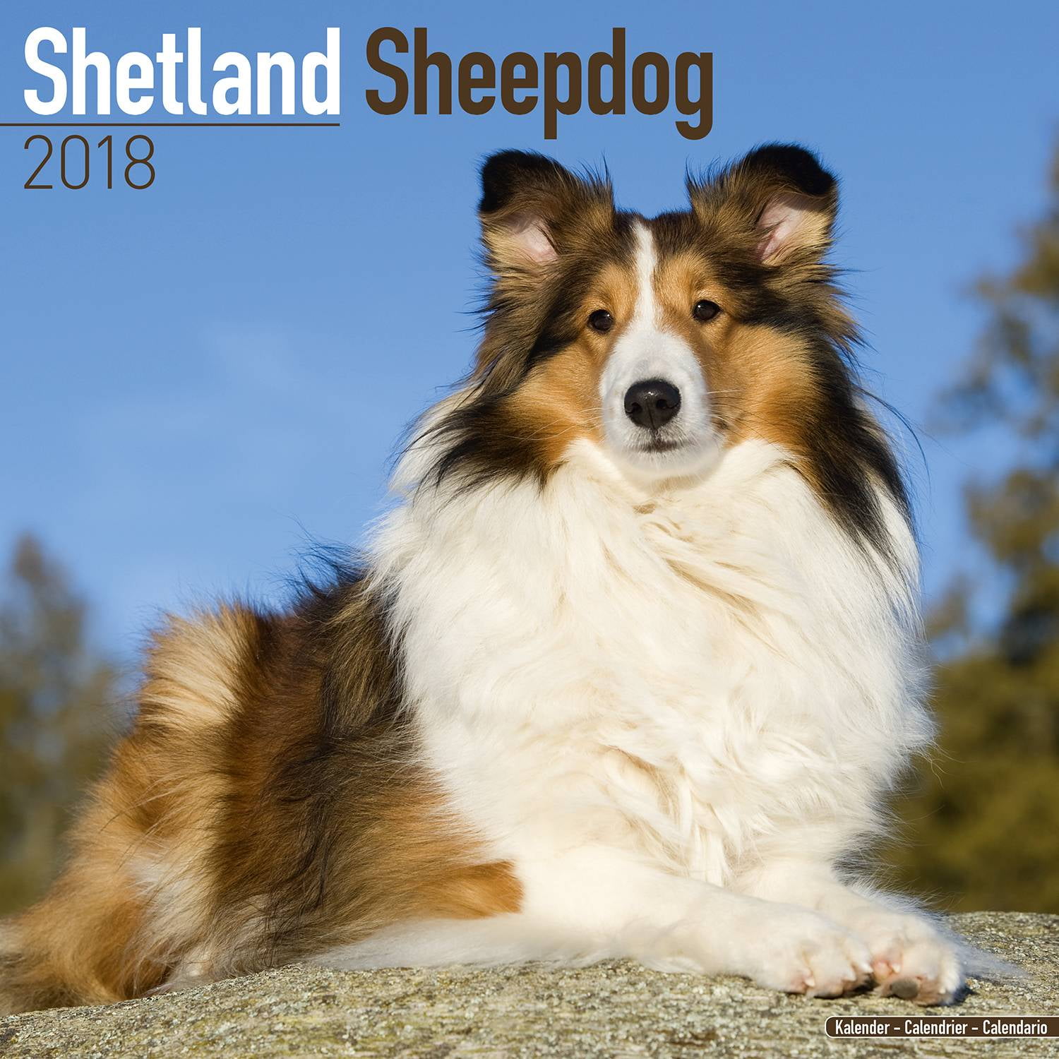 Shetland Sheepdog Calendar 2018 - Dog Breed Calendar - Wall Calendar ...