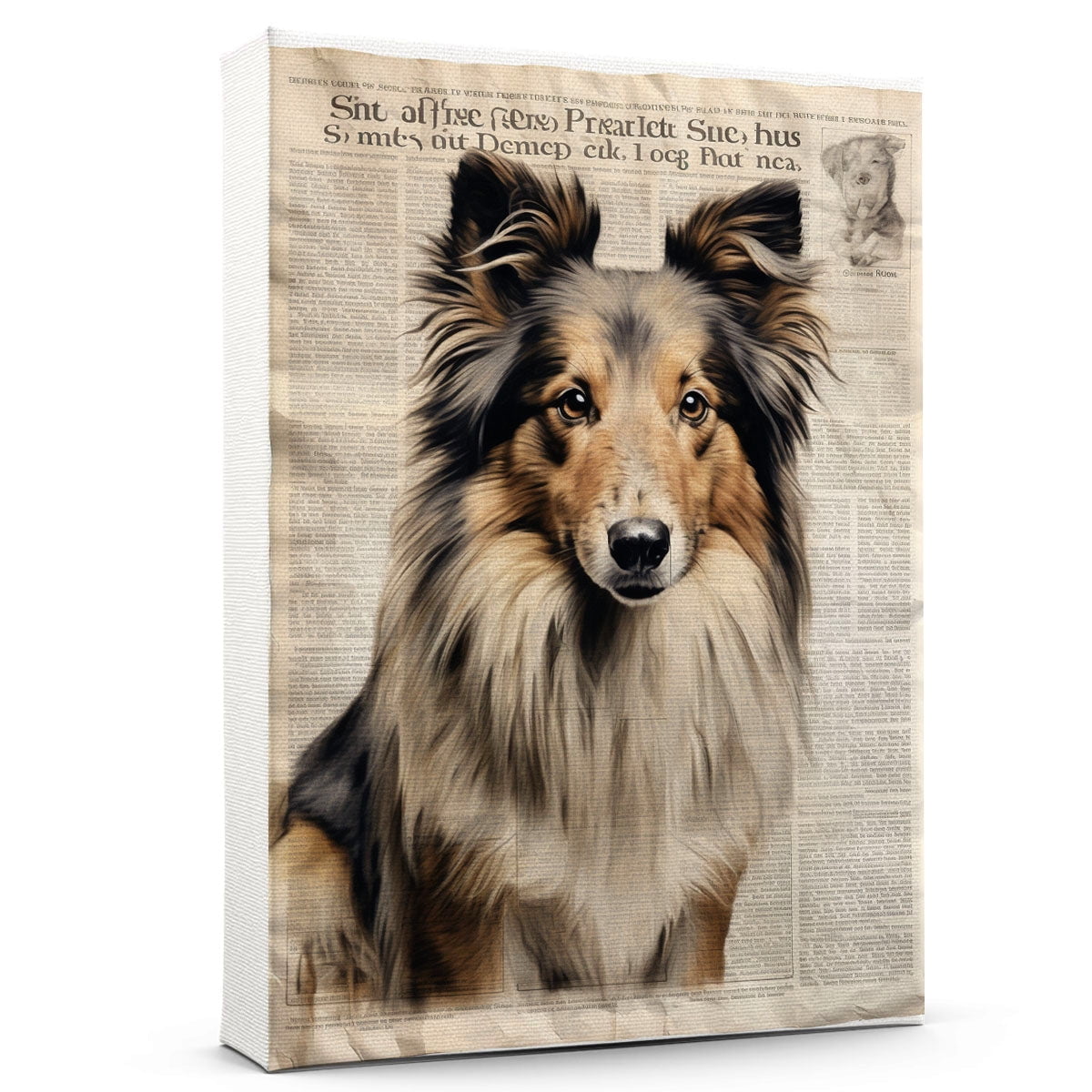 Shetland Sheepdog Dog Read Newspapers Sitting Poster Prints on Canvas ...