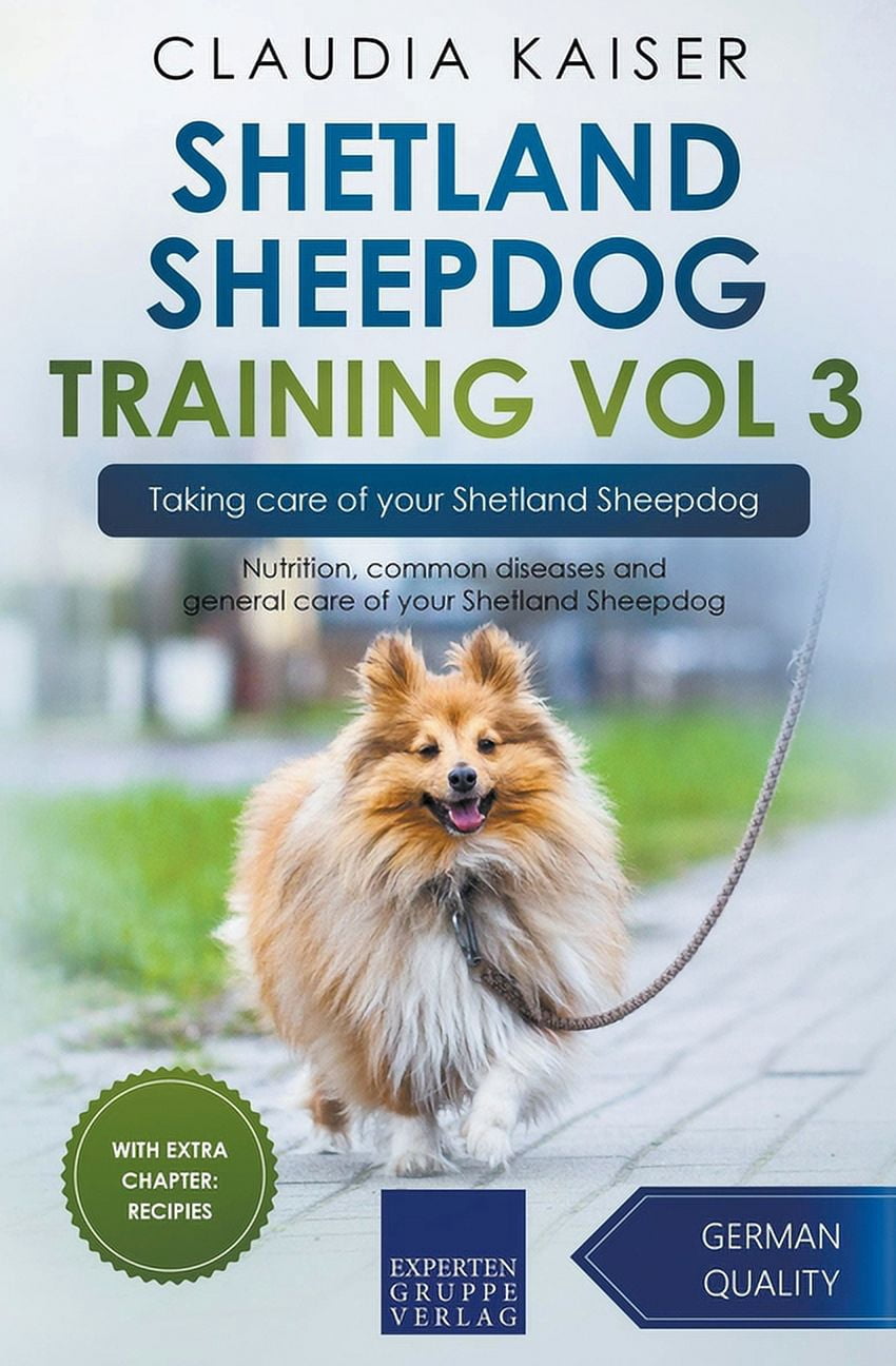 Shetland Sheepdog Training Shetland Sheepdog Training Vol 3 - Taking ...