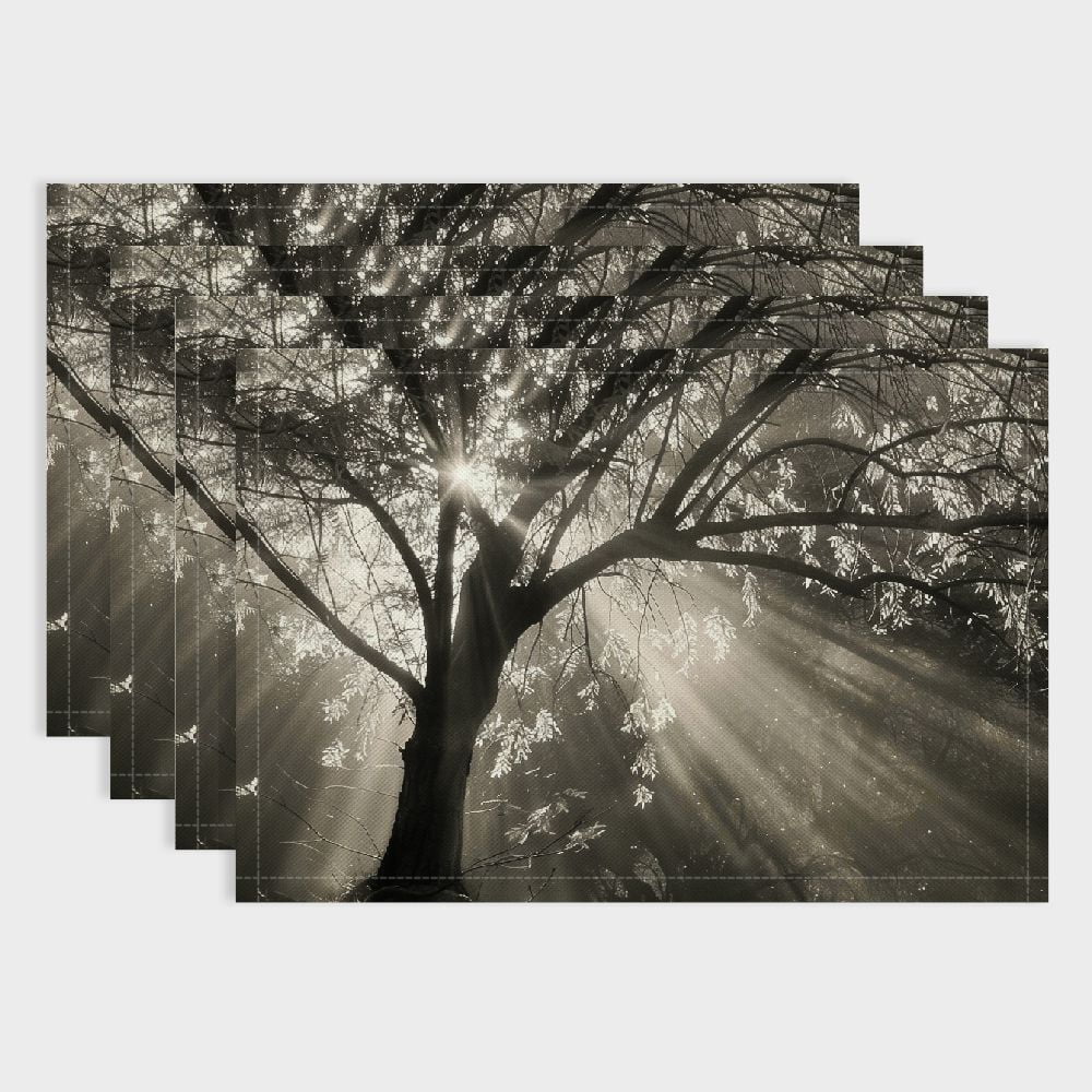 Shiartex 4PCS Radiant Light Western Meal Table Pad Linen Party Table ...