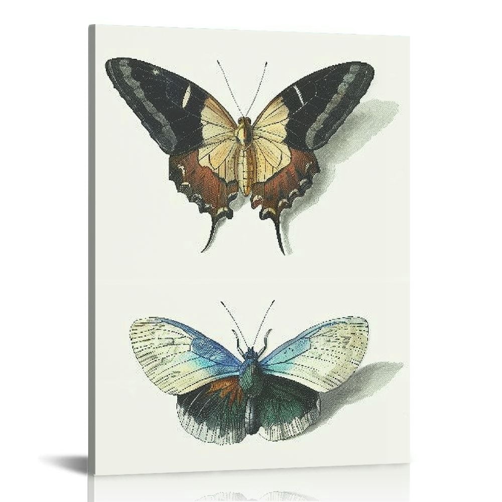 Shiartex Butterfly Wall Art - Aesthetic Butterflies Canvas Picture ...