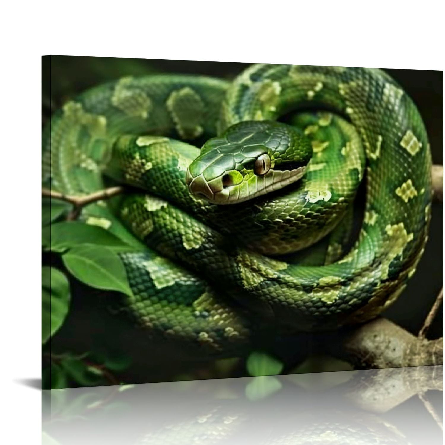 Shiartex Canvas Wall Art Snake Posters Pictures Wall Decor Animal ...