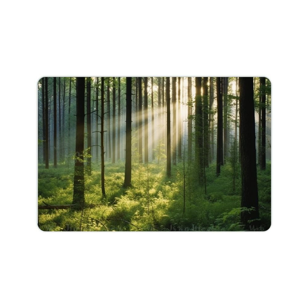 Shiartex Diatom Mud Mat Floor Mat Indoor Outdoor Ecological Art for ...