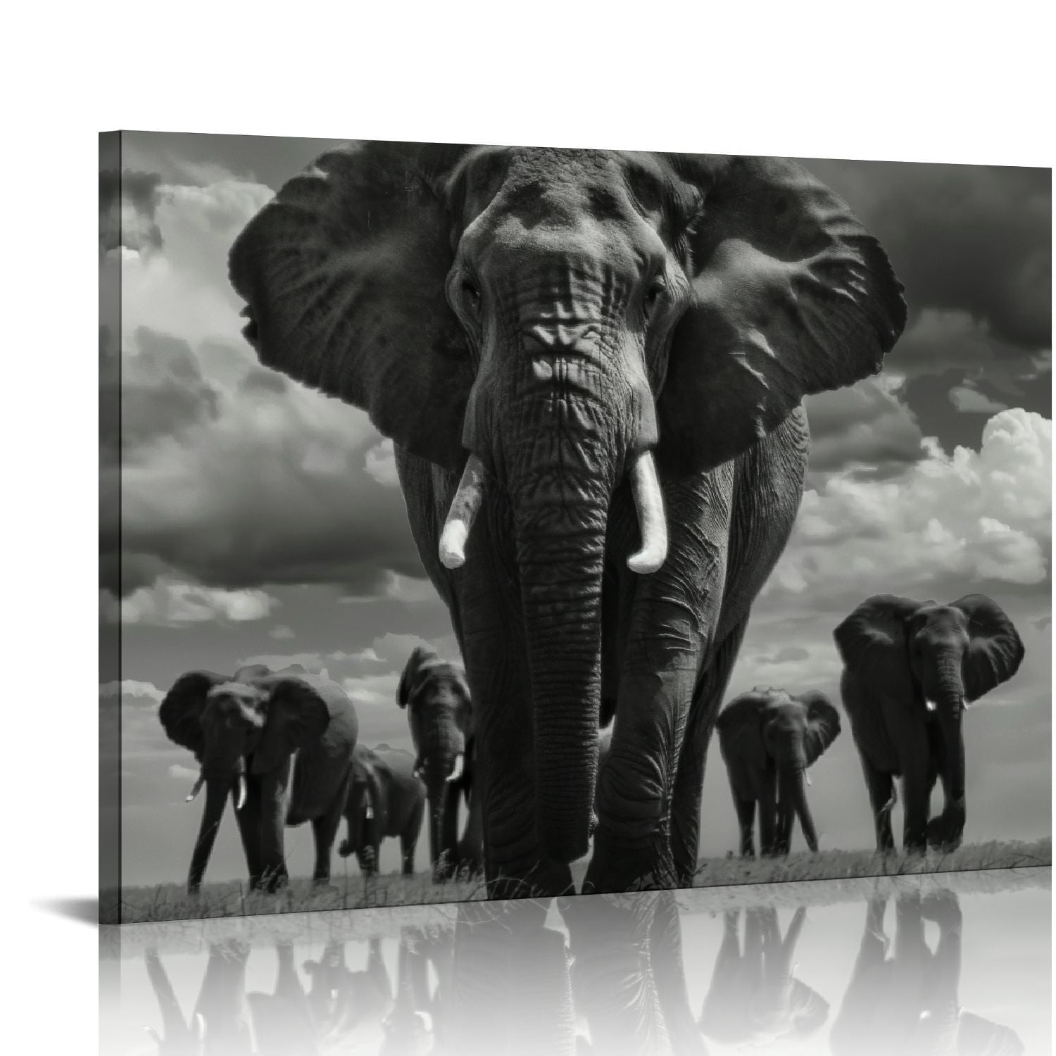 Shiartex Elephant Canvas Prints Wall Art Animals Pictures Photo ...