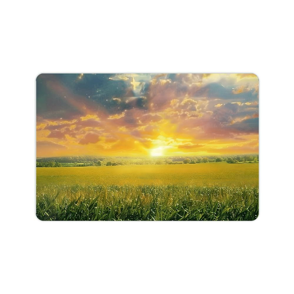 Shiartex Floor Mat Rug Sunbeam Clouds Grass Field for Home Entrance ...