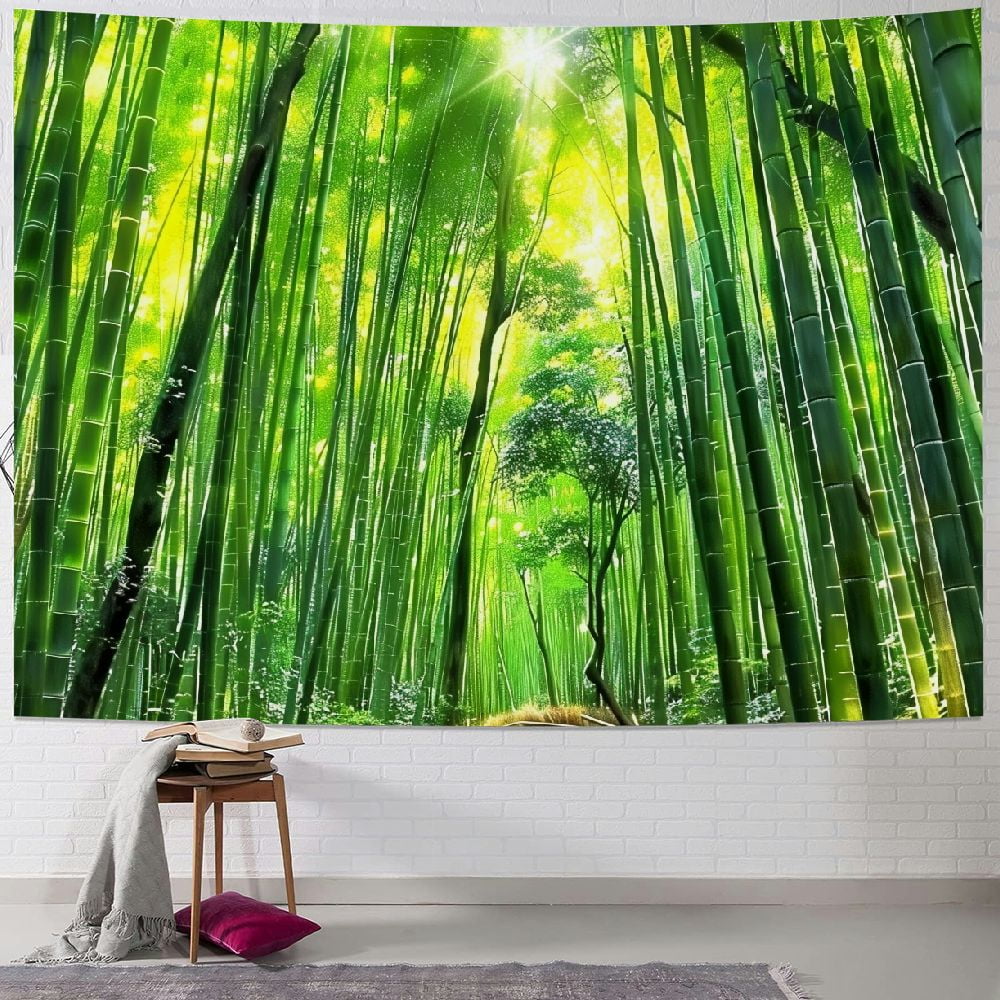 Shiartex Forest with Pathway Tapestry Rainforest Nature Landscape ...