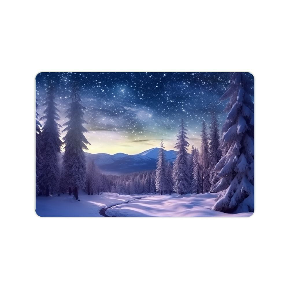 Shiartex Indoor Outdoor Front Door Bathroom Mats Snowy Landscape Night ...