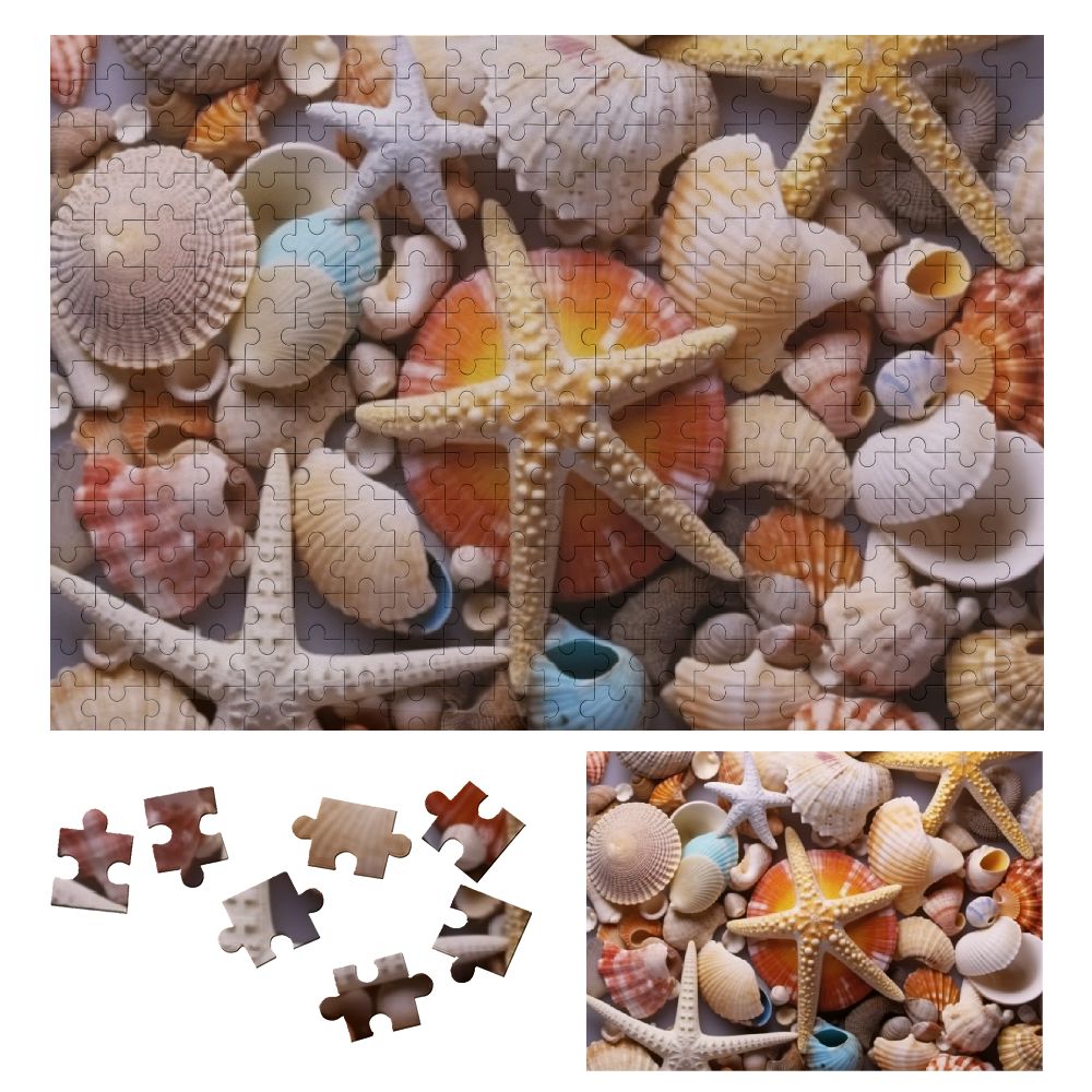 Shiartex Jigsaw Puzzles for Adults Beach Shells Puzzle Thick Sturdy ...
