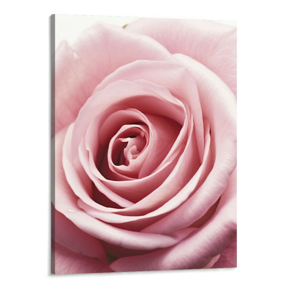 Shiartex Pink Rose Close Up Canvas Wall Art Blush Pink Room Decor Misty ...