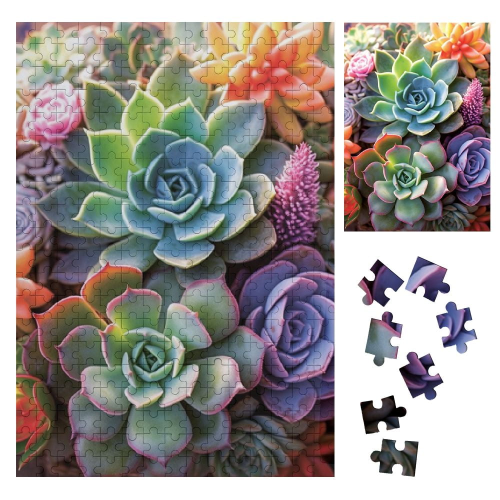 Shiartex - Simple Succulent - Jigsaw Puzzle 300PCS - Walmart.com