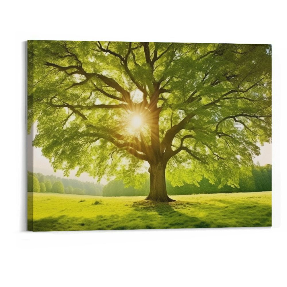 Shiartex -Spring Forest Nature Green Big Tree Sunshine Wall Art Canvas ...