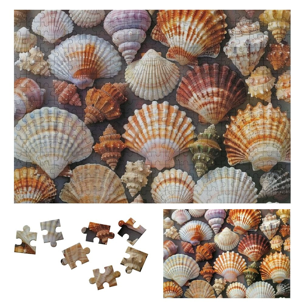 Shiartex Vibrant Seashells – Chitnis Puzzle Featuring Chromatic ...