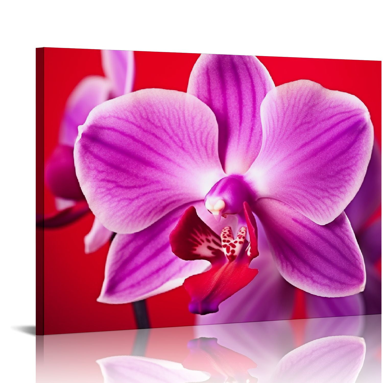 Shiartex Wall Art Canvas Purple Orchid, Flowers Picture Red Background ...