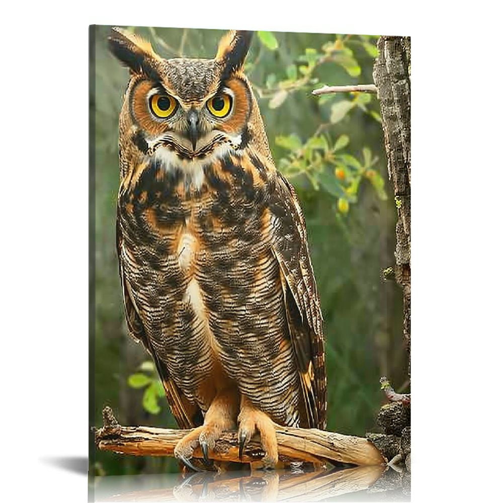 Shiartex Wild Animals Owl Poster Funny Wall Art Decor Poster Canvas ...