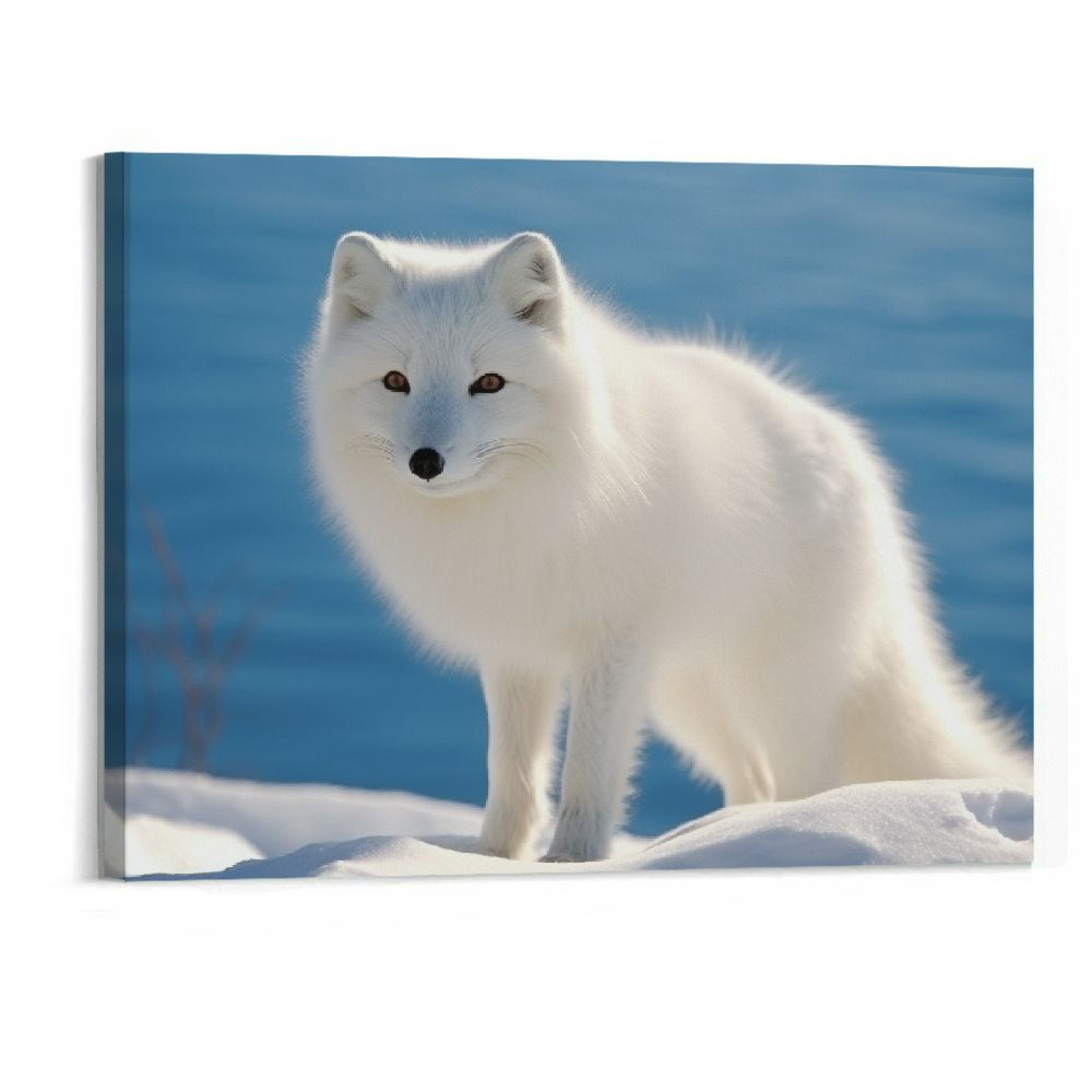Shiartex World Animal Arctic Fox Poster Picture Canvas Print Famous ...