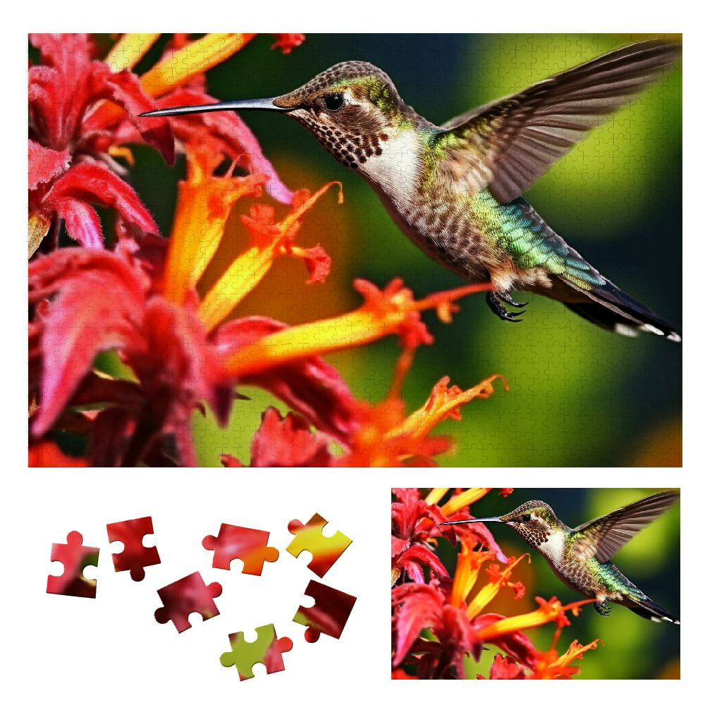 Shiartex 's Summer Hummingbird Jigsaw Puzzle for Adults Captures an ...