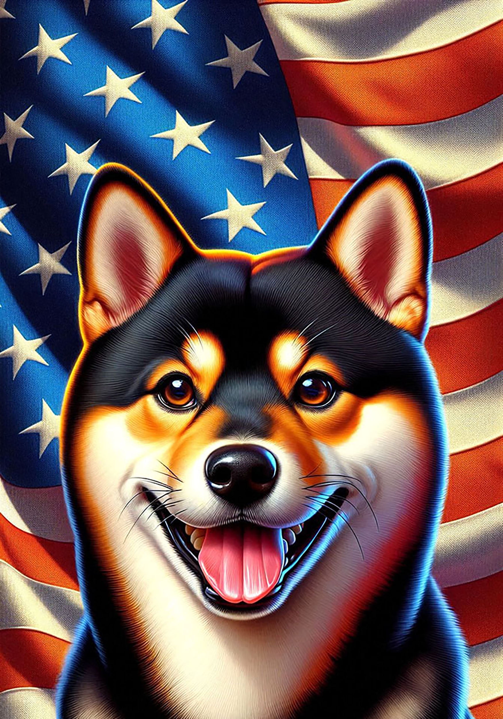 Shiba Inu Black and Tan - Best of Breed DCR Patriotic III Outdoor ...