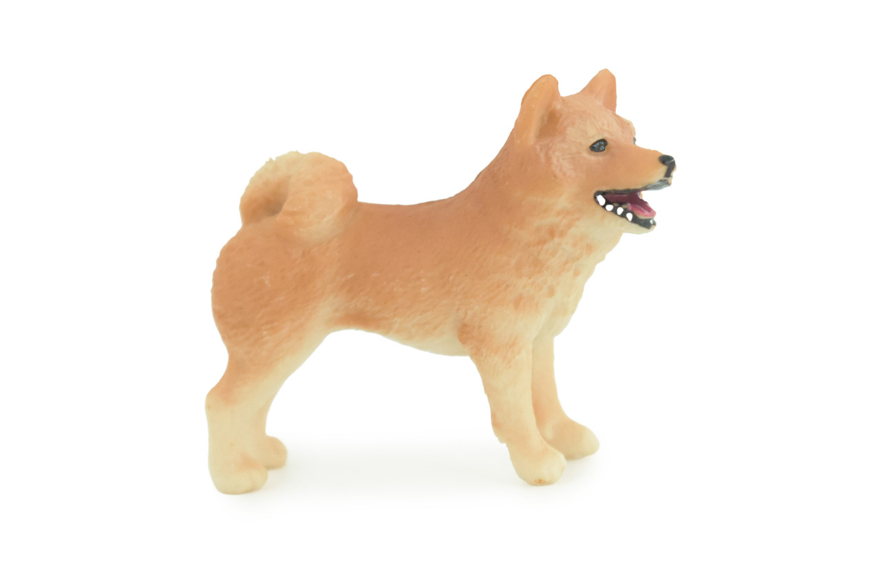 Shiba Inu Dog, Puppy, Museum Quality, Hand Painted, Educational, Very ...