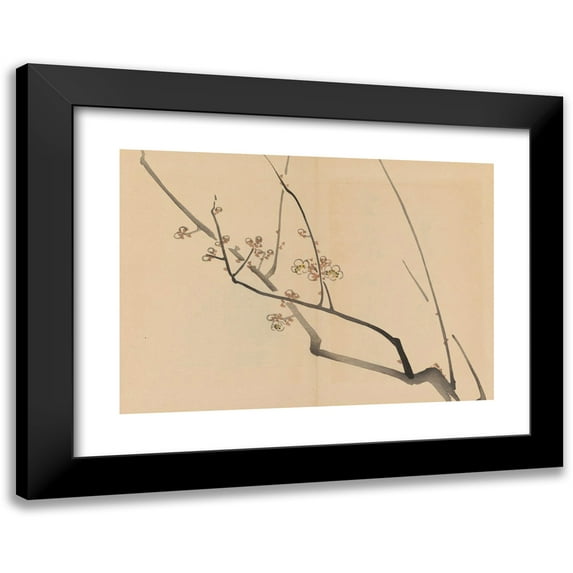 Shibata Zeshin 14x11 Black Modern Framed Museum Art Print Titled ...
