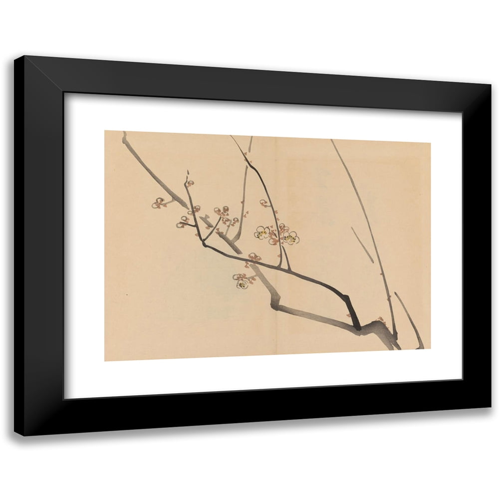 Shibata Zeshin 18x14 Black Modern Framed Museum Art Print Titled ...