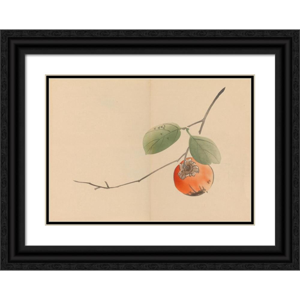 Shibata Zeshin 18x14 Black Ornate Wood Framed Double Matted Museum Art ...