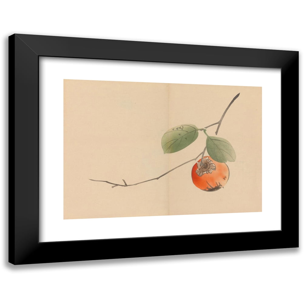 Shibata Zeshin 24x18 Black Modern Framed Museum Art Print Titled ...