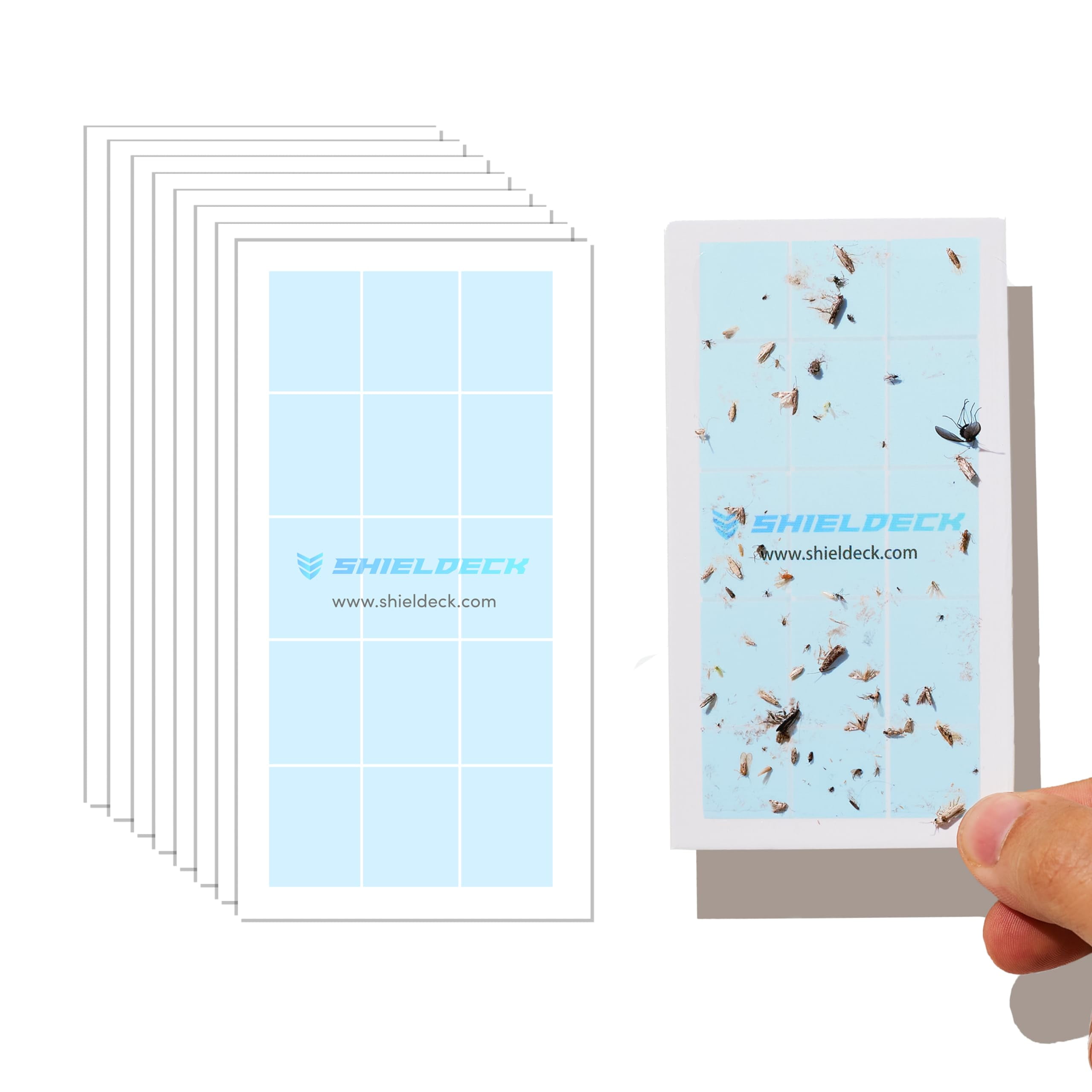 Shieldeck Flying Insect Trap - Indoor Fly Trap, Gnat Trap, and Mosquito ...