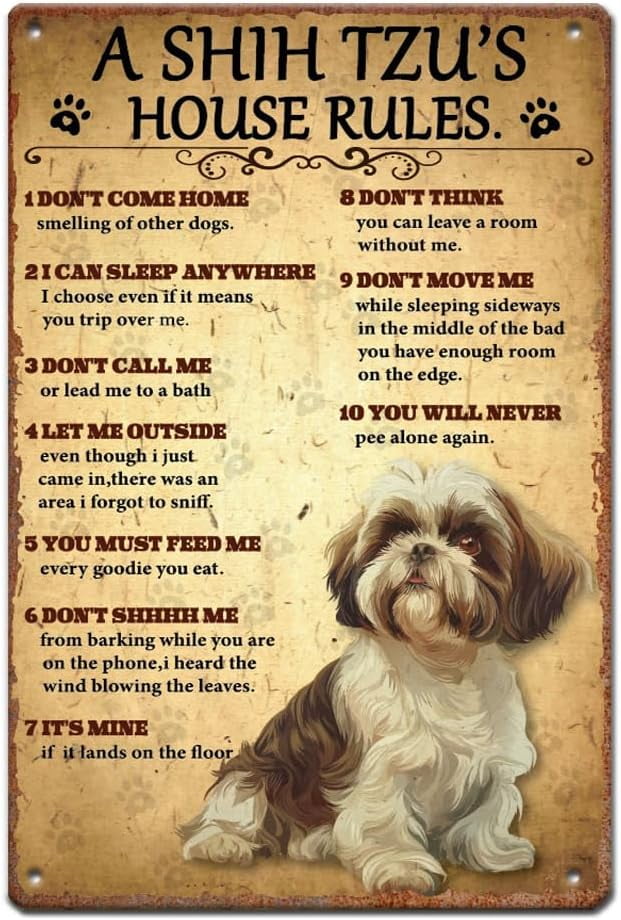 Shih Tzu Metal Tin Sign Shih Tzu Rules Tin Signs Vintage Retro Wall Art ...