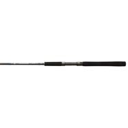 Fenwick Elite Tech Walleye Spinning Fishing Rod - Walmart.com