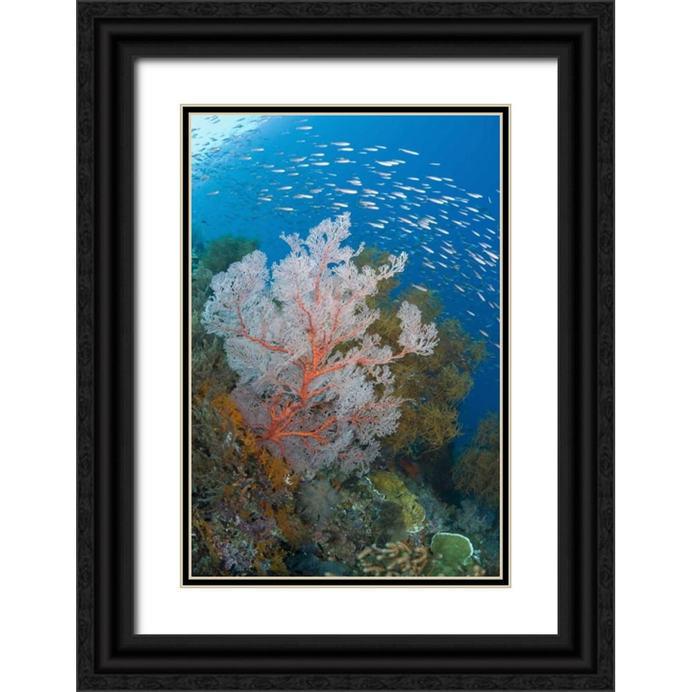 Shimlock, Jones 11x14 Black Ornate Wood Framed with Double Matting ...