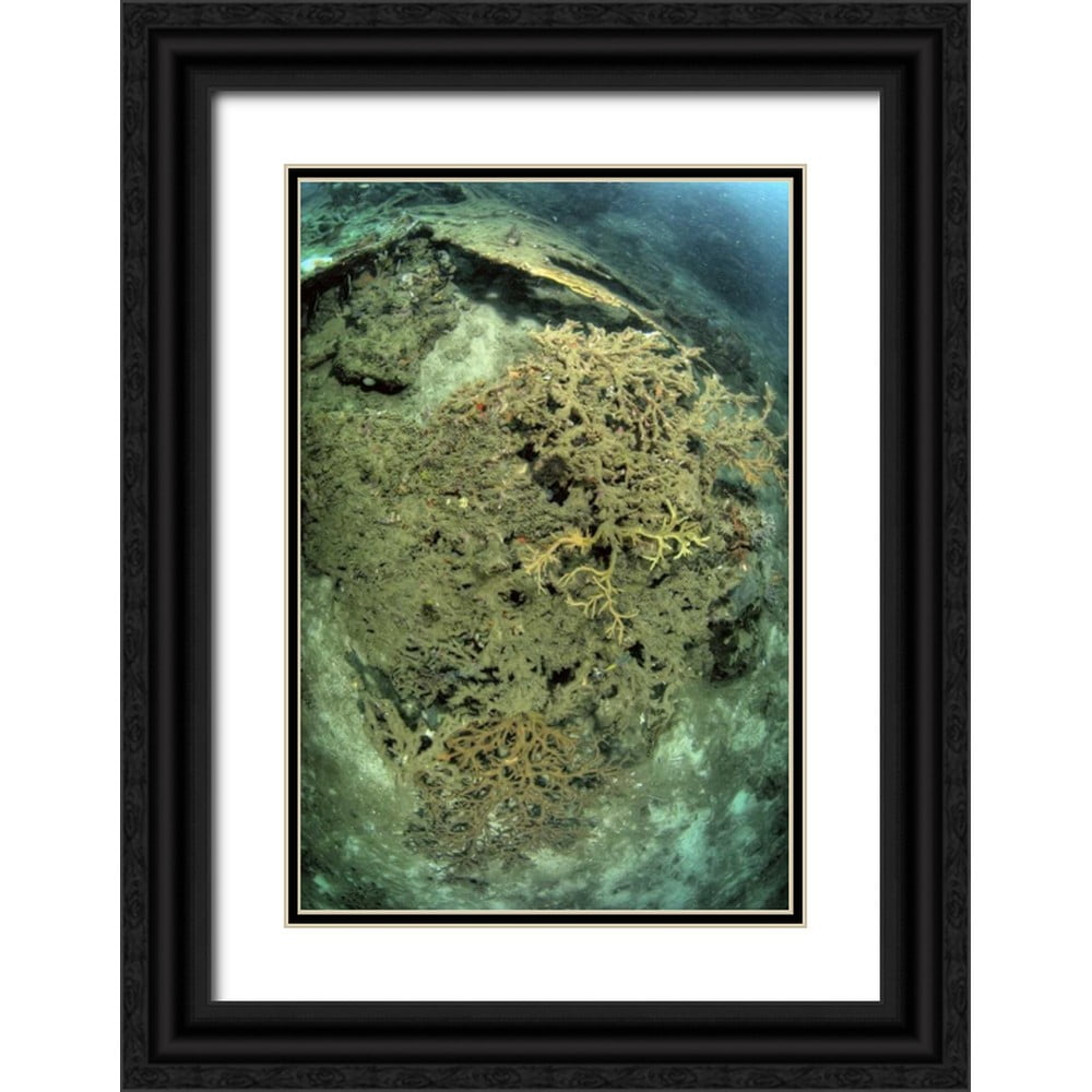 Shimlock, Jones 11x14 Black Ornate Wood Framed with Double Matting ...