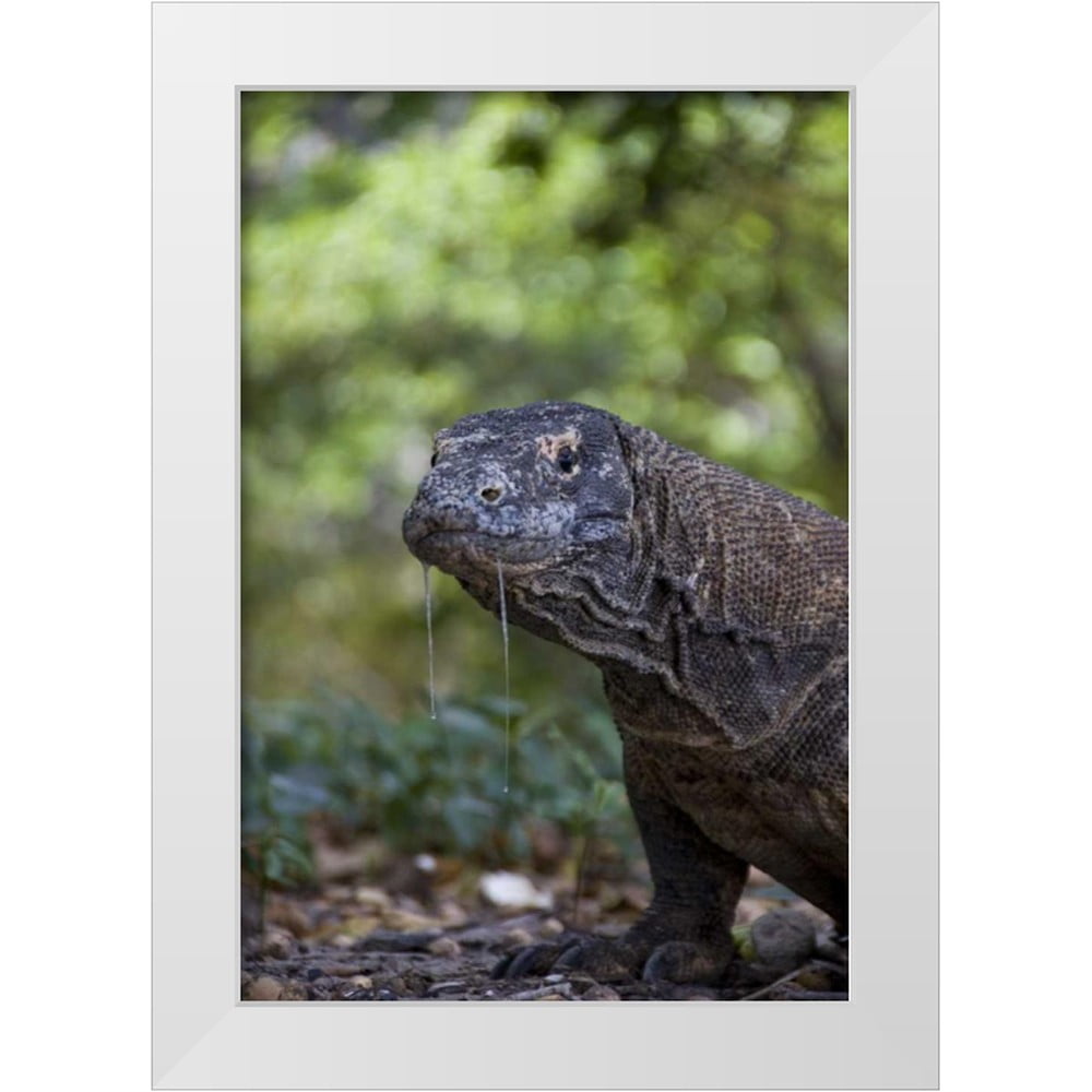 Shimlock, Jones 11x14 White Modern Wood Framed Museum Art Print Titled ...