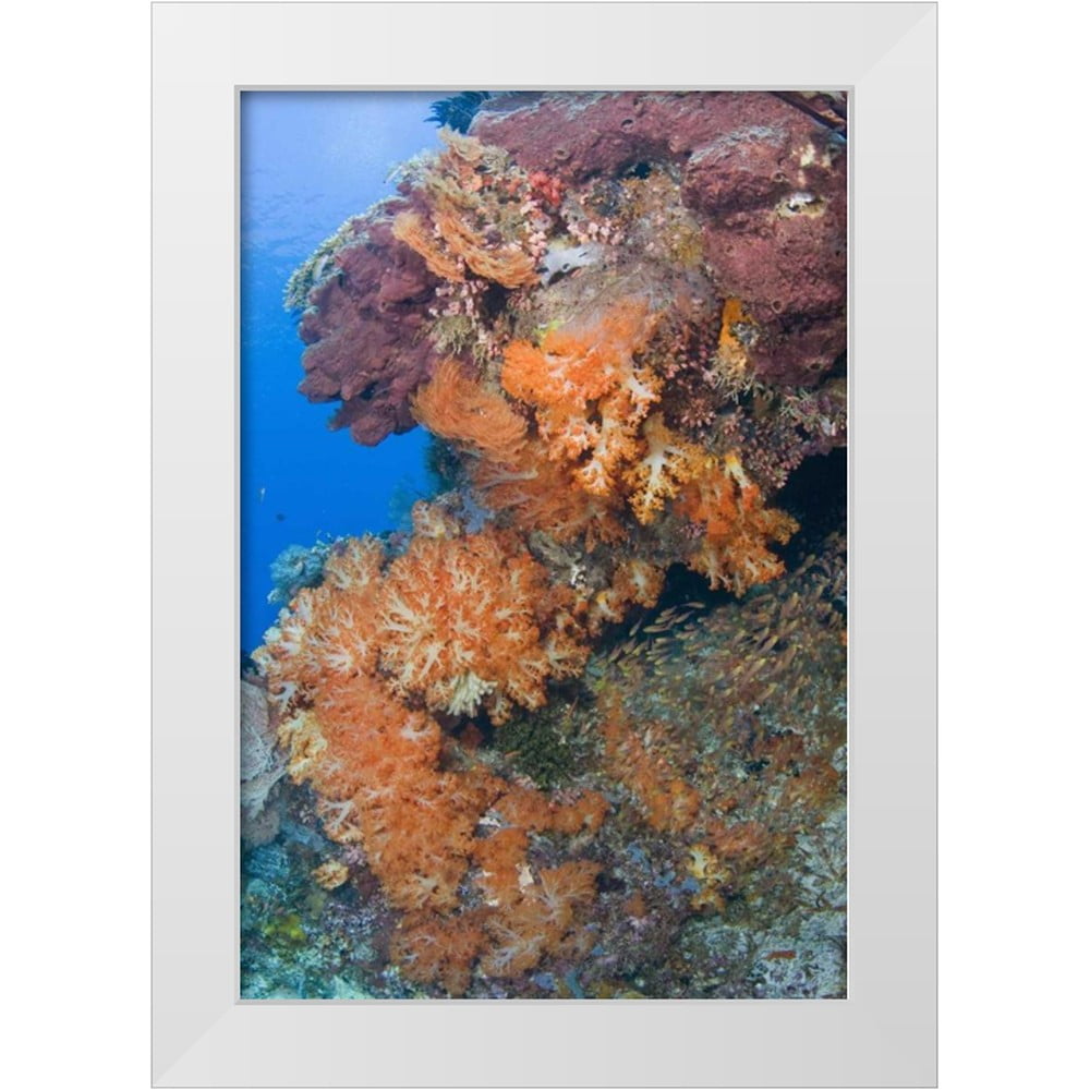 Shimlock, Jones 11x14 White Modern Wood Framed Museum Art Print Titled ...