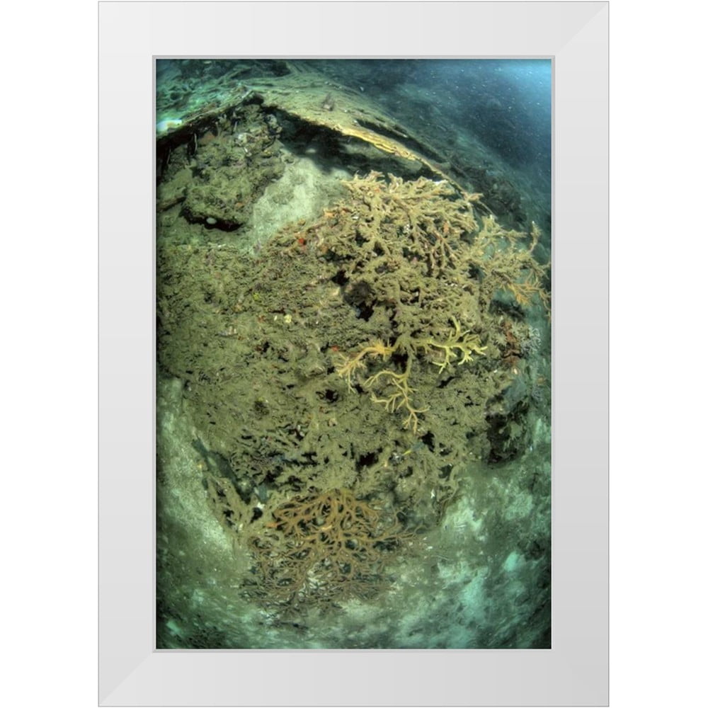 Shimlock, Jones 11x14 White Modern Wood Framed Museum Art Print Titled ...