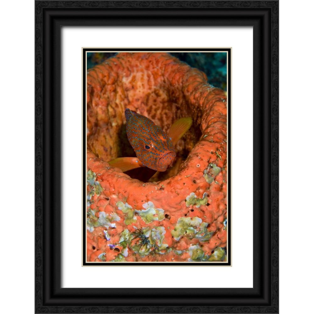 Shimlock, Jones 13x18 Black Ornate Wood Framed with Double Matting Museum Art Print Titled ...