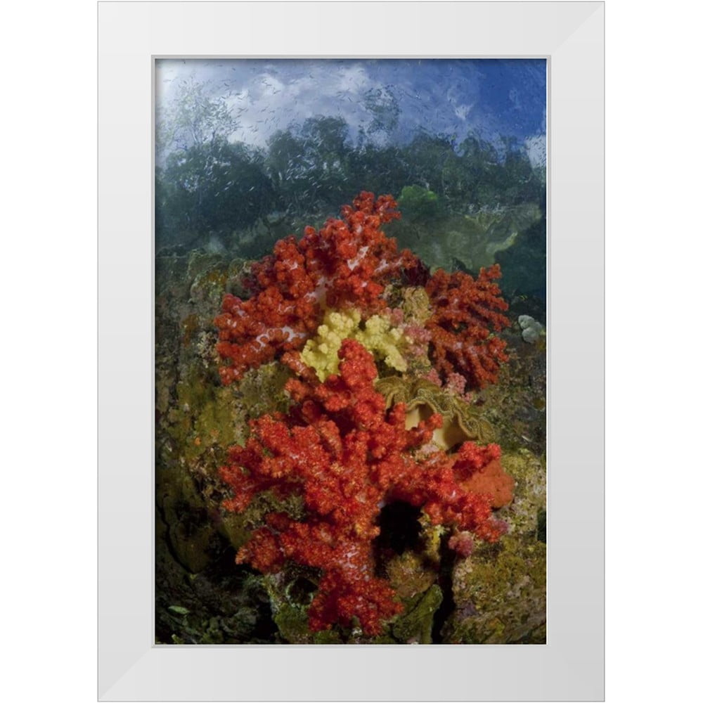 Shimlock, Jones 13x18 White Modern Wood Framed Museum Art Print Titled ...