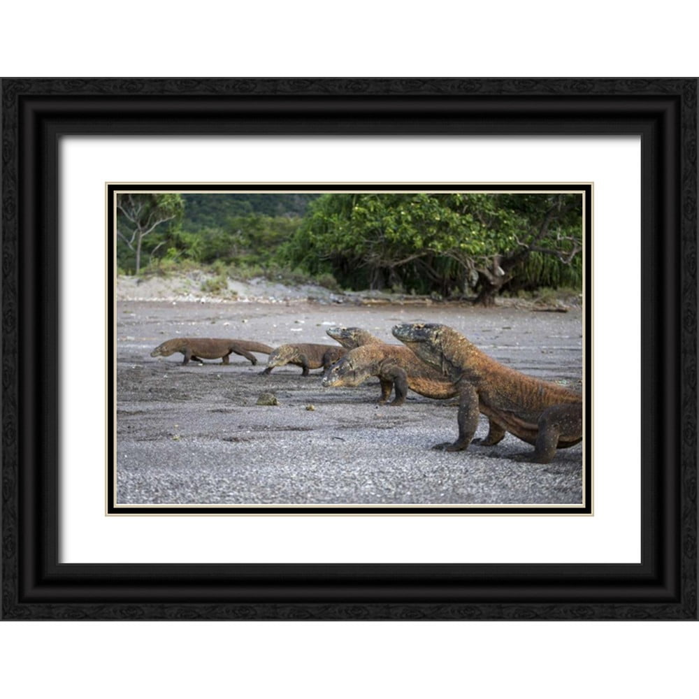 Shimlock, Jones 14x11 Black Ornate Wood Framed with Double Matting ...